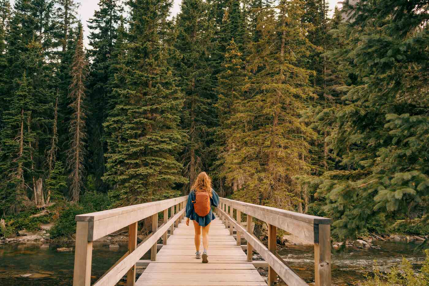 How to Practice Mindful Hiking | Terra Vi - Discover Your True Nature